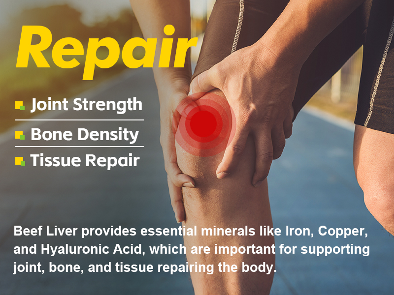 Well&Whole | Why Is Bone Health Important?